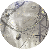 Rain World Watcher Map